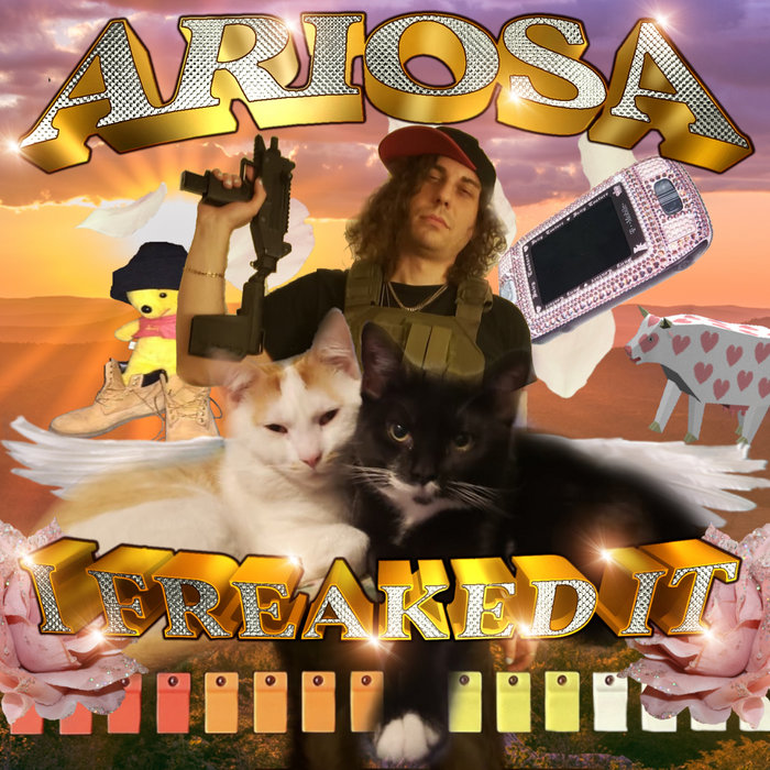 I Freaked It | Ariosa