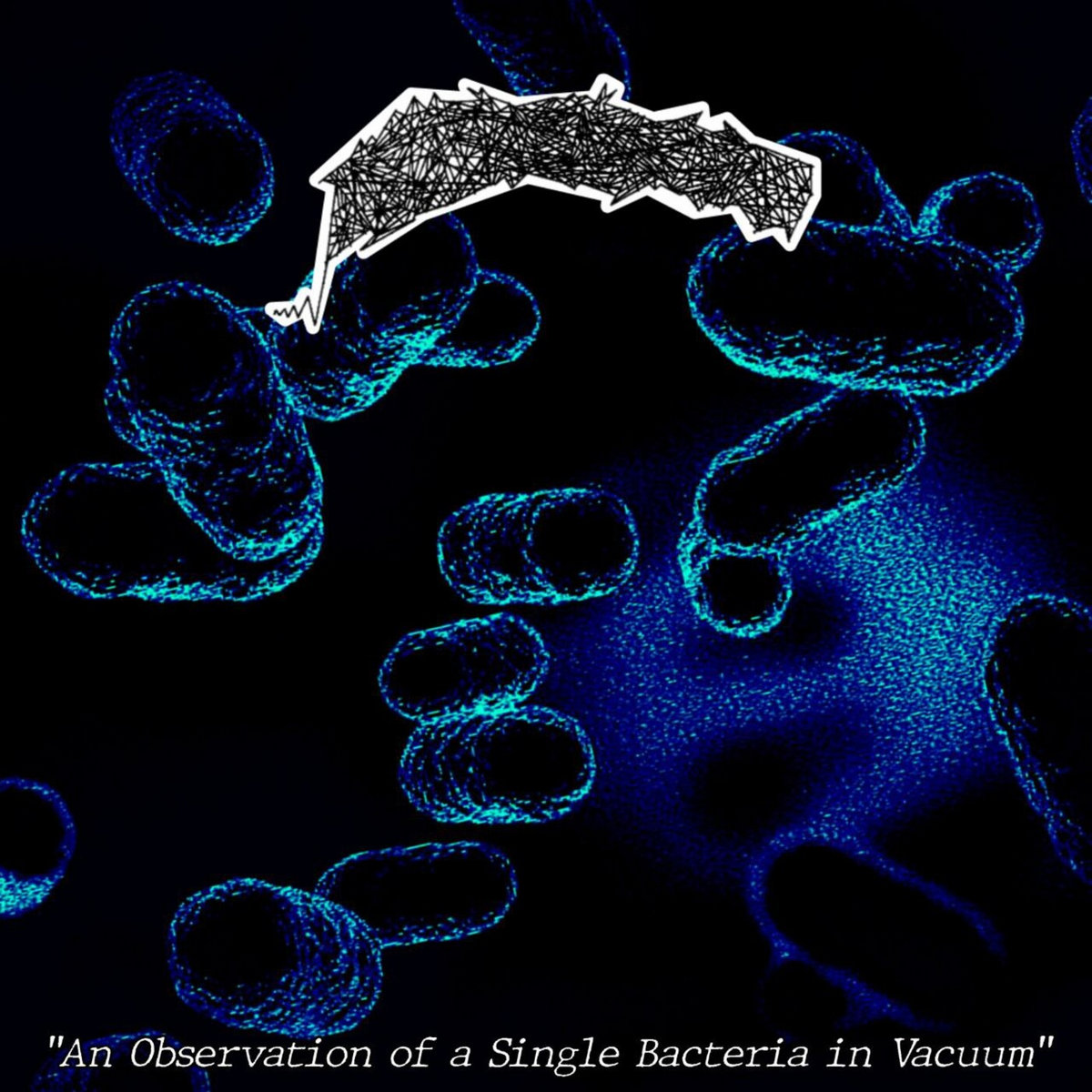 An Observation of a Single Bacteria in Vacuum | Isolation | P.F.'s Noise