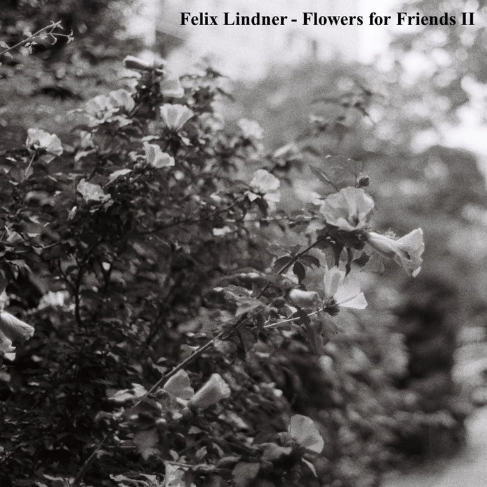 Felix Lindner - Flowers for Friends II | Felix Lindner