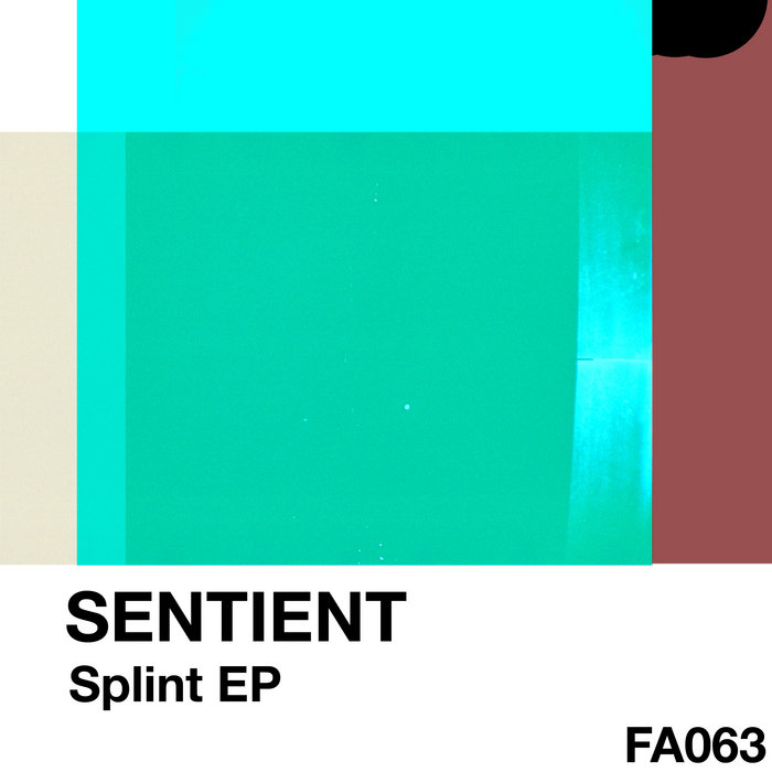 Splint EP | Sentient | Foundation Audio