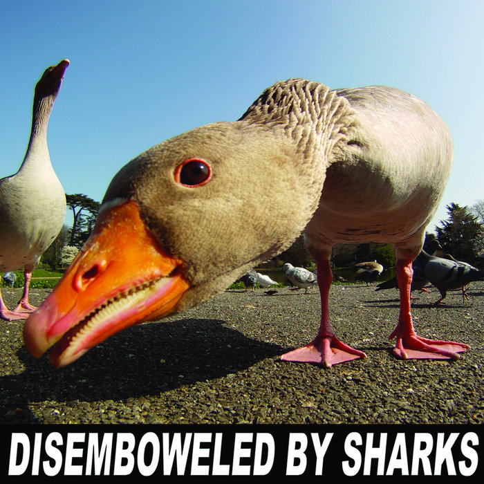 Disemboweled by Sharks | Disemboweled by Sharks