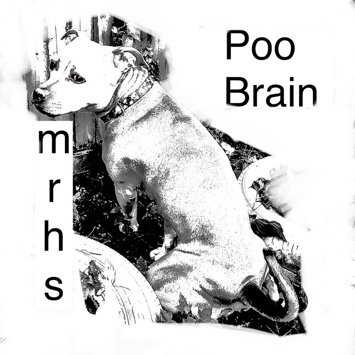 Poo Brain | mrhs