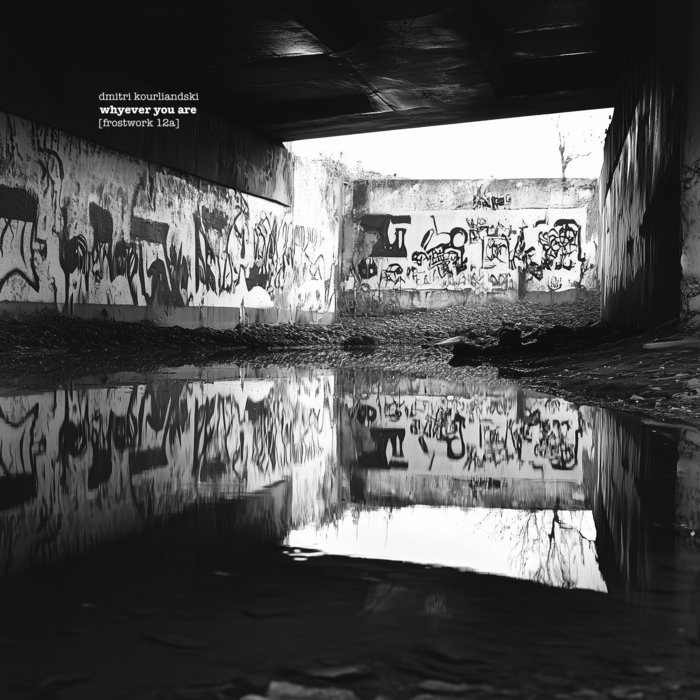 whyever you are | Dmitri Kourliandski