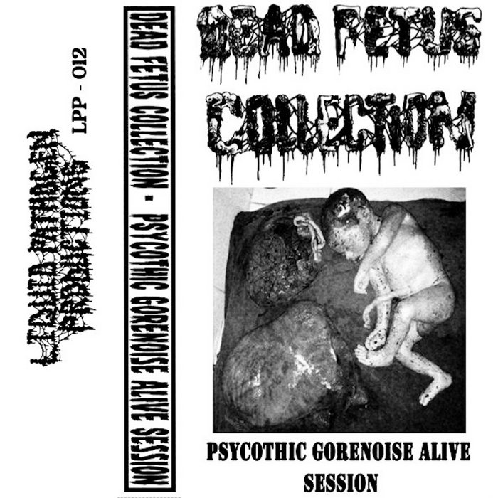 Psycothic Gorenoise Alive Session | Dead Fetus Collection | Liquid ...