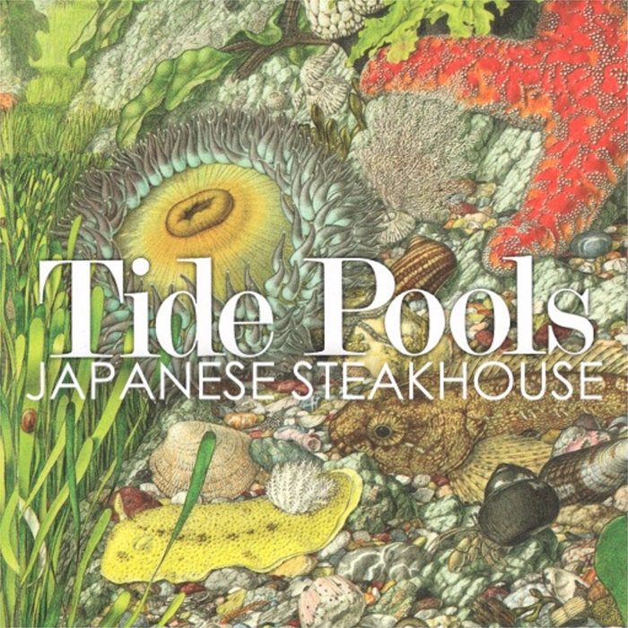 Tide Pools | Japanese Steakhouse