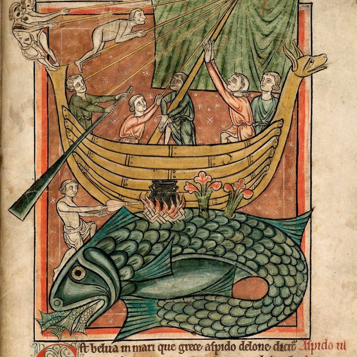 Navigator | Brian Sheehan