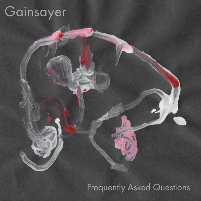 Frequently Asked Questions | Gainsayer