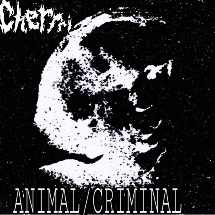 Animal/Criminal | Cherrri