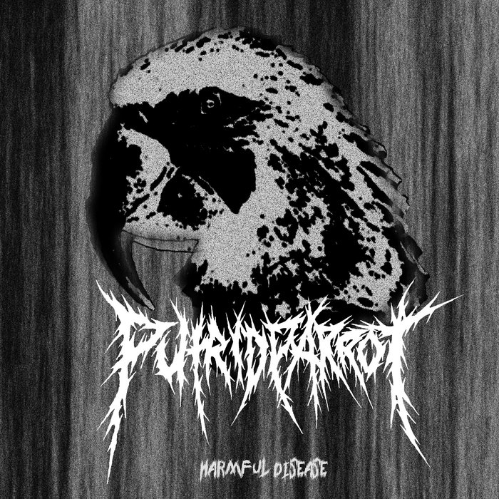 HARMFUL DISEASE | PUTRID PARROT