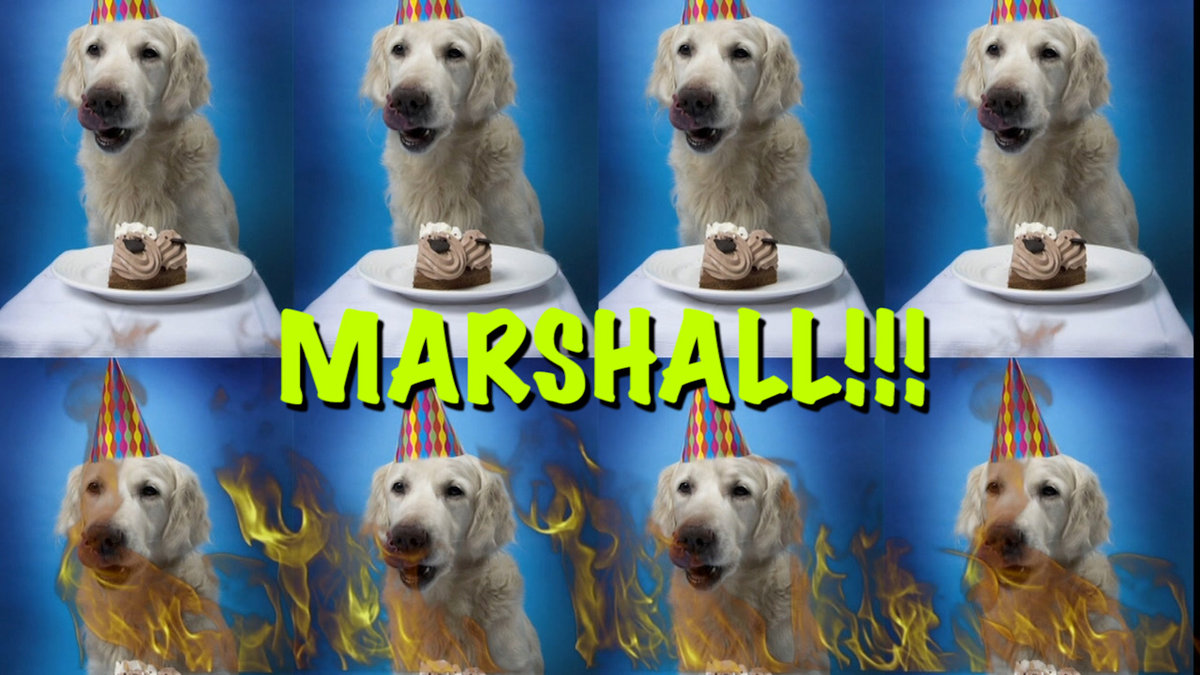 HAPPY BIRTHDAY MARSHALL! | Epic Happy Birthdays