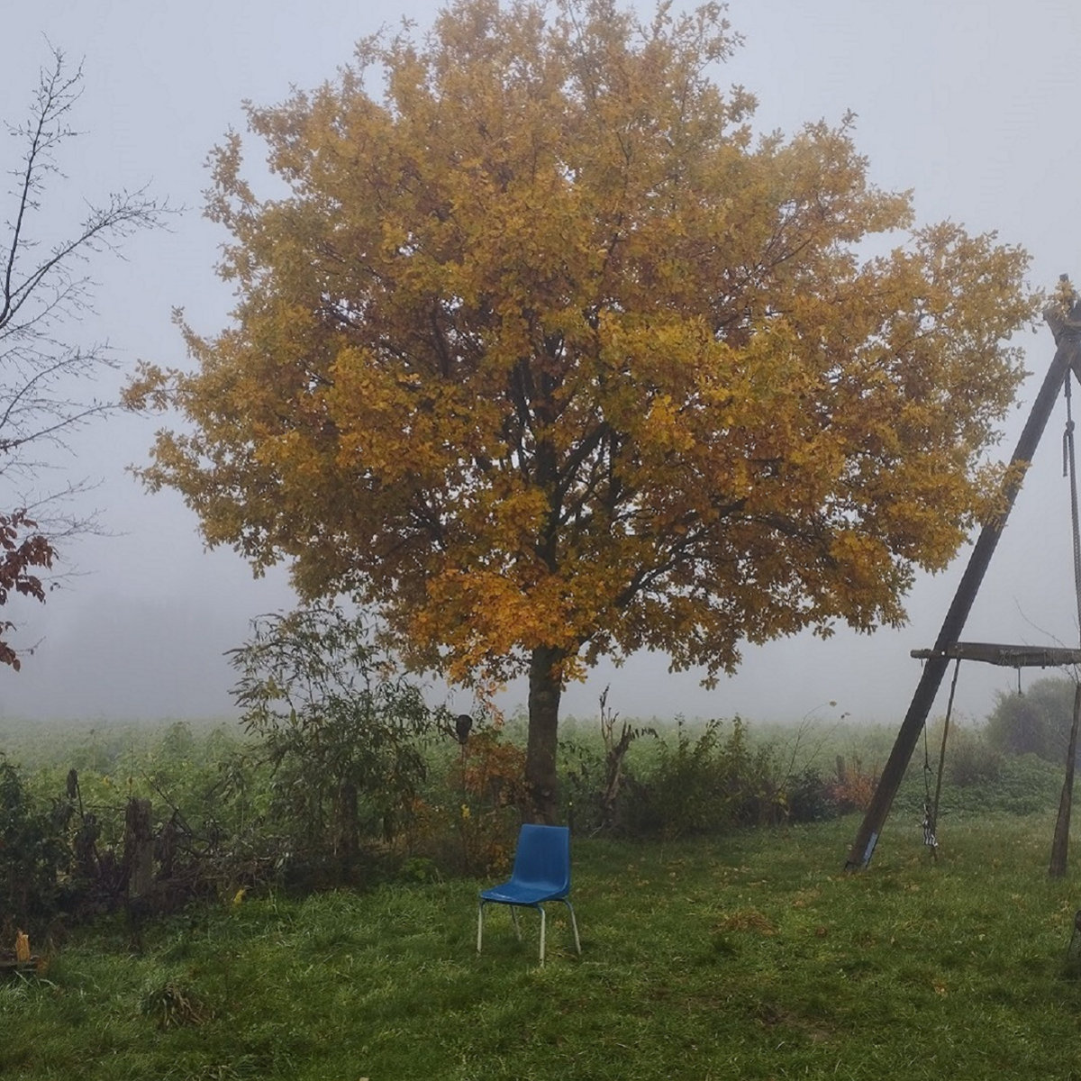 Ballad of Brahms | bart verbeke