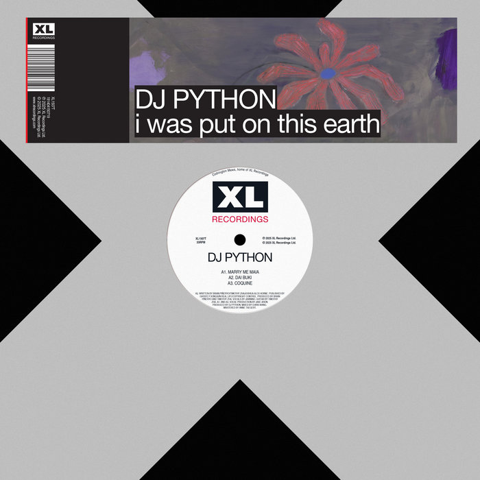 i was put on this earth | DJ Python