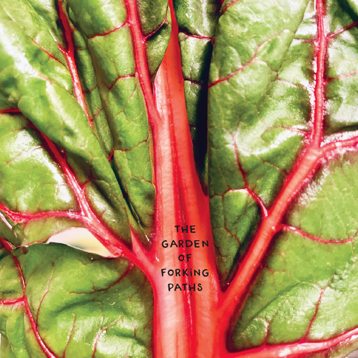 The Garden of Forking Paths | Eliot Wilder