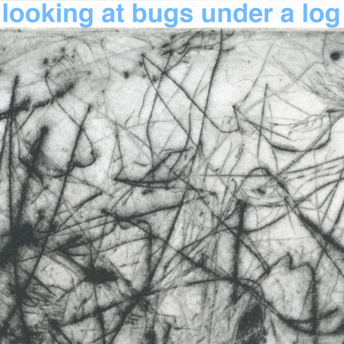 Looking at Bugs Under a Log | _____ _____ | Caleb Chase