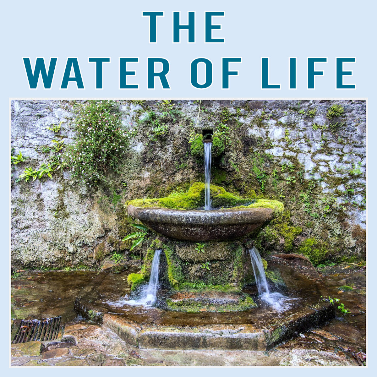 #144 THE WATER OF LIFE | Peter Kearney