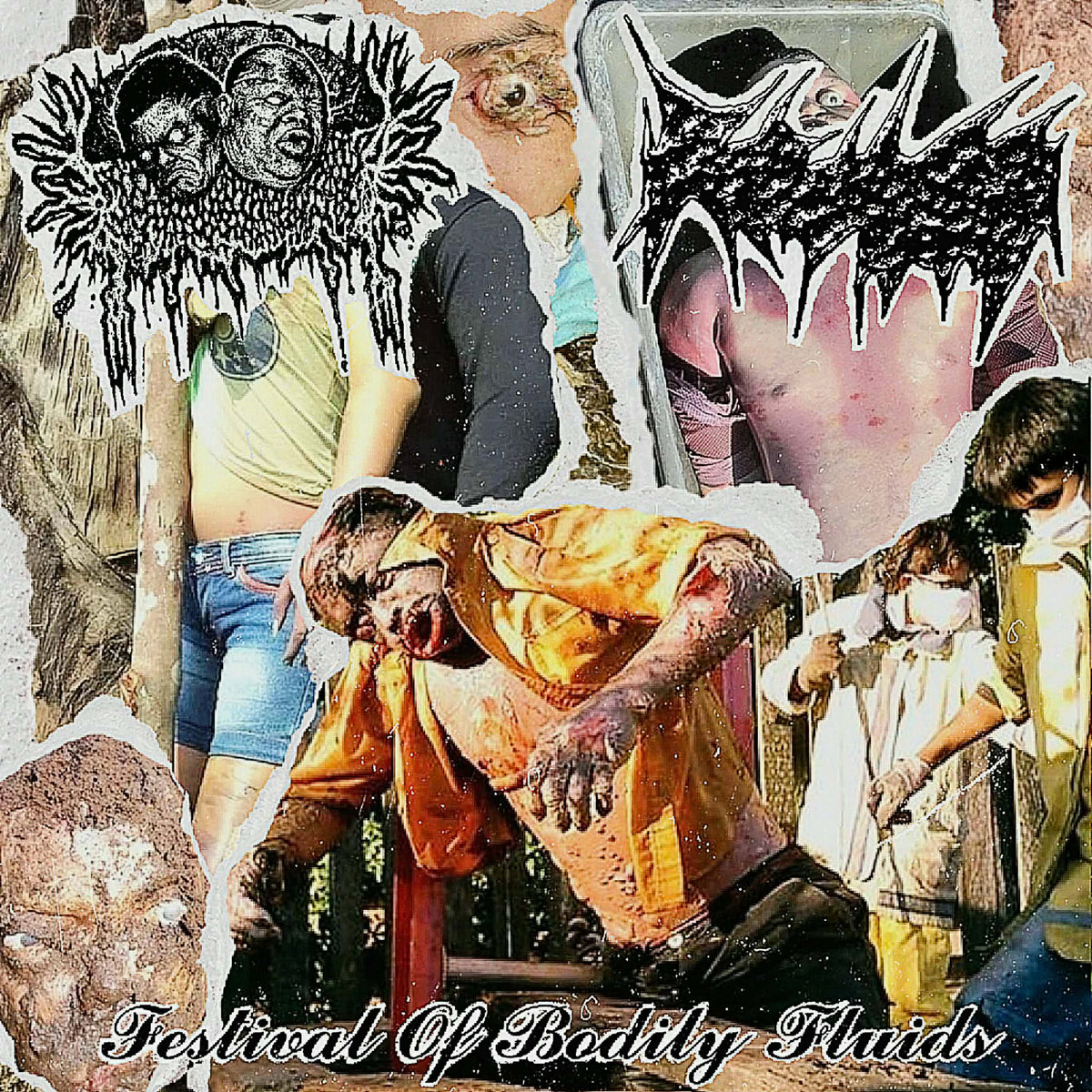 ExFxBxC-Diphyllobothrium,Endocrinology,Zoophiliacal ...