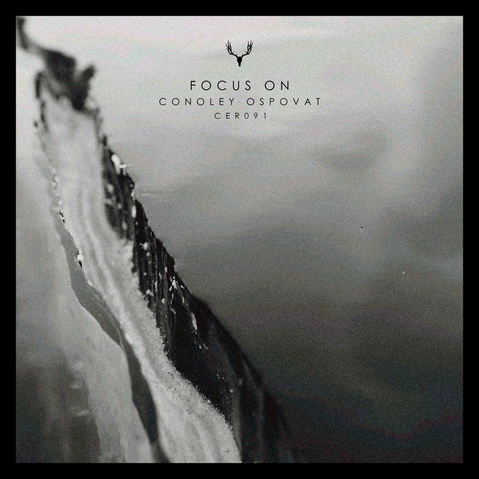 Focus on Conoley Ospovat | Cervidae Recordings