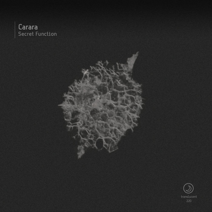 Secret Function | Carara | Translucent