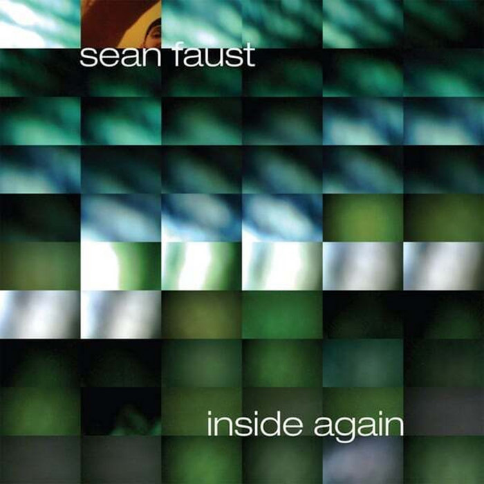 Inside Again | Sean Faust