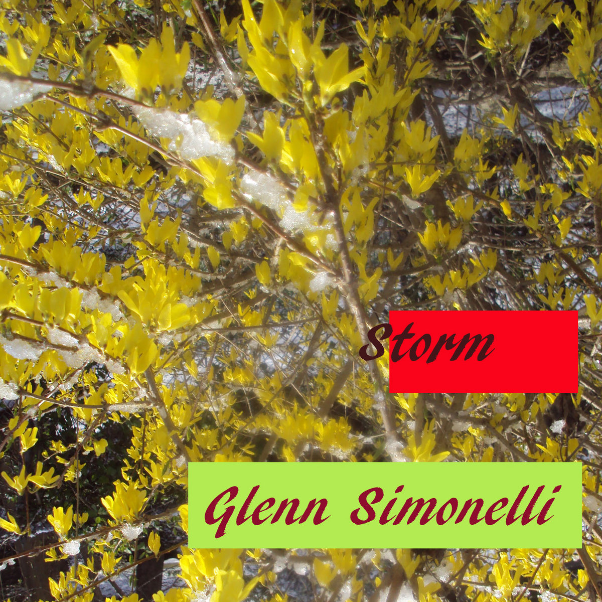 Storm | Glenn Simonelli