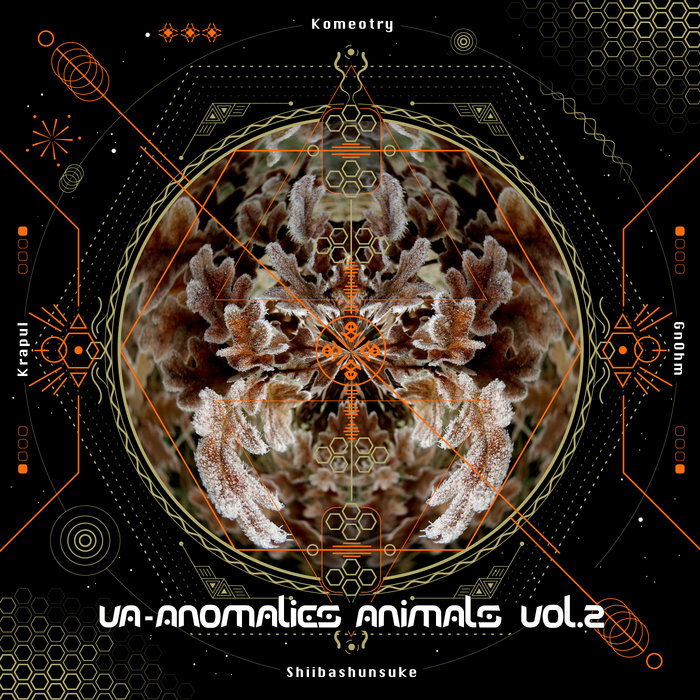 Anomalies Animals Vol.2 - V.A. | Funky Freaks Records