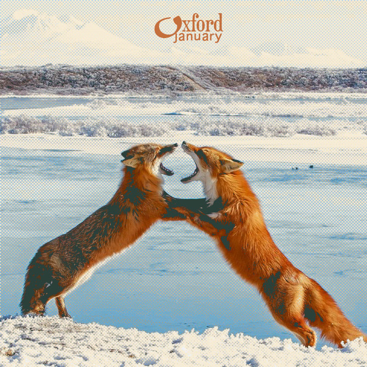 January | Spicebrush