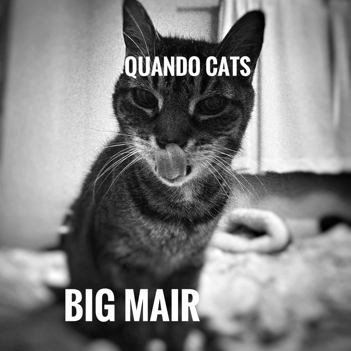 Quando Cats | Big Mair