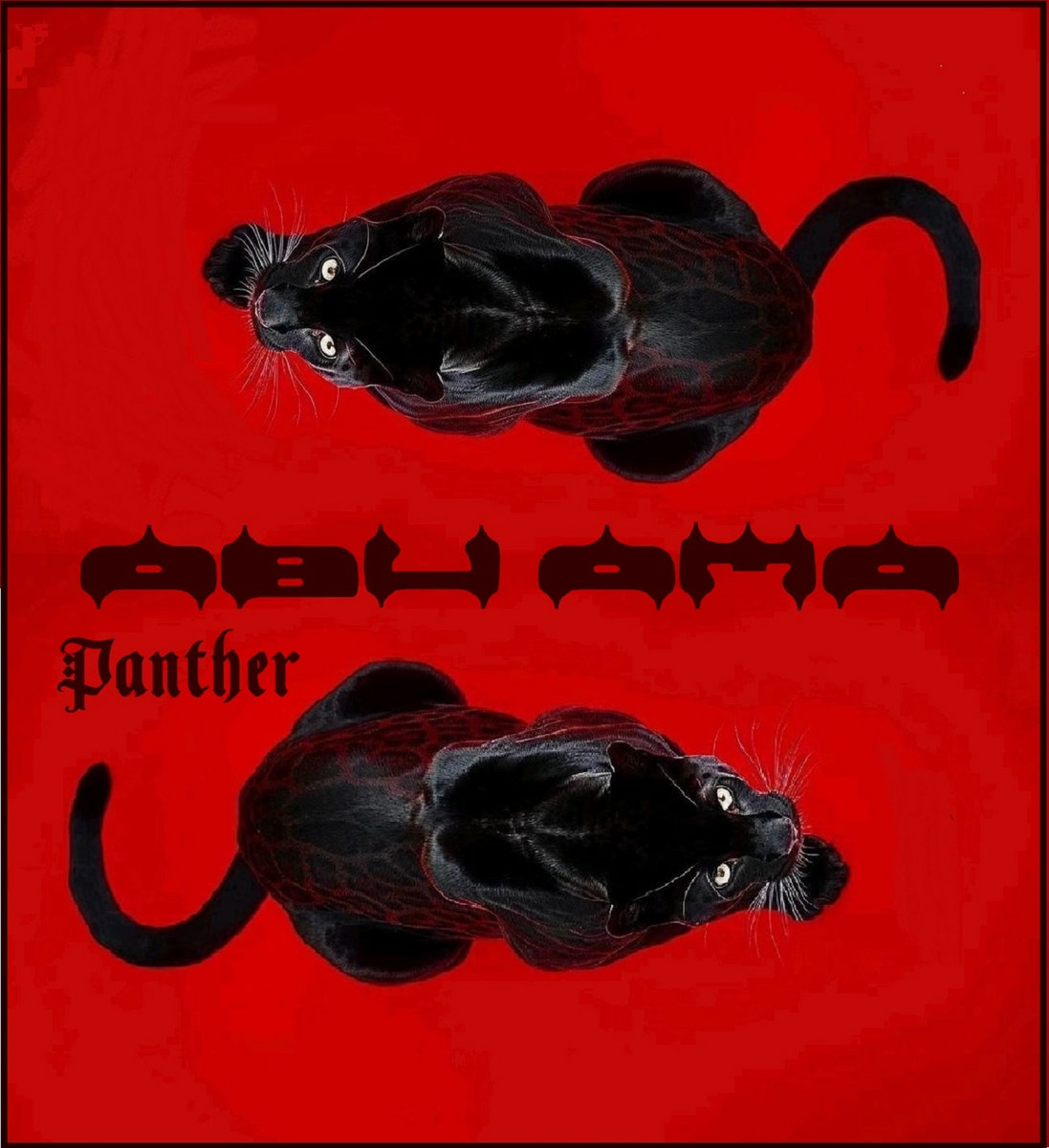 Panther | Abu AMA