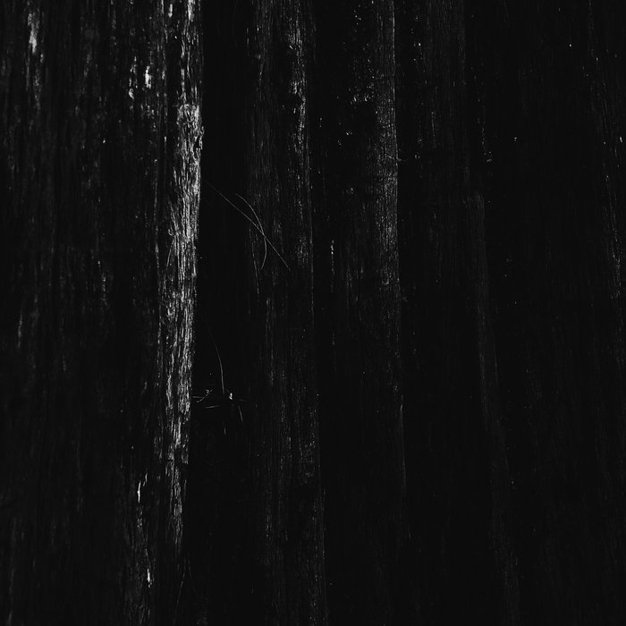 I Cannot Be Here | Sam Haven