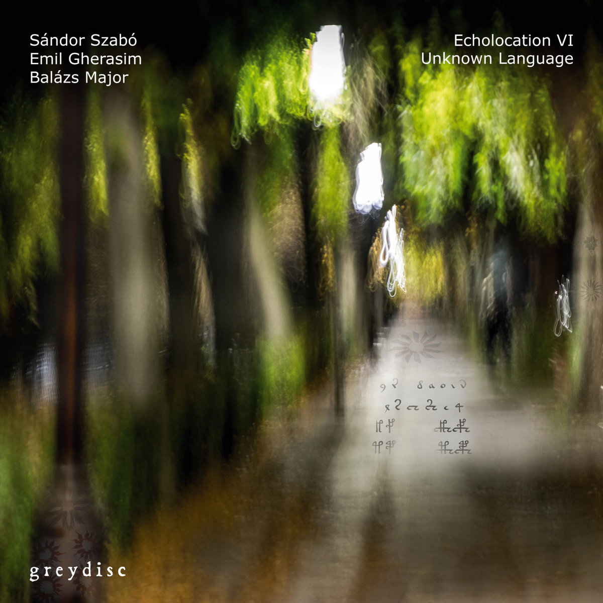 Puzzling Details III | Sandor Szabo, Emil Gherasim, Balazs Major ...