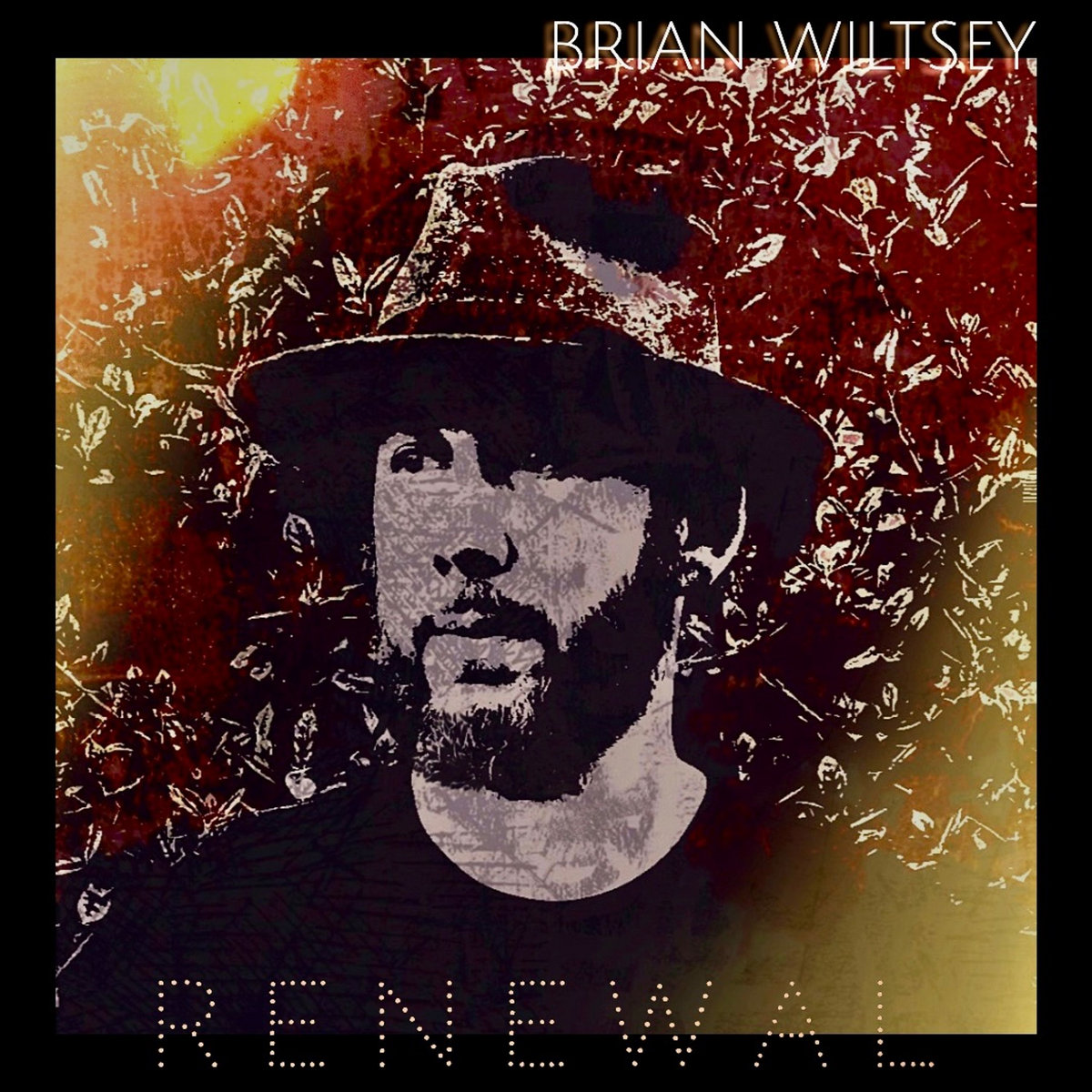 Renewal | Brian Wiltsey