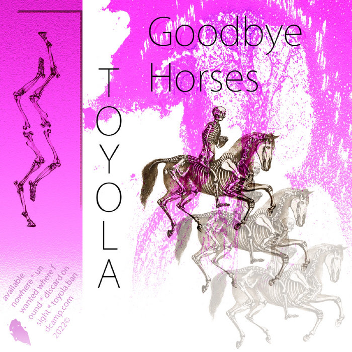 Goodbye Horses | T O Y O L A
