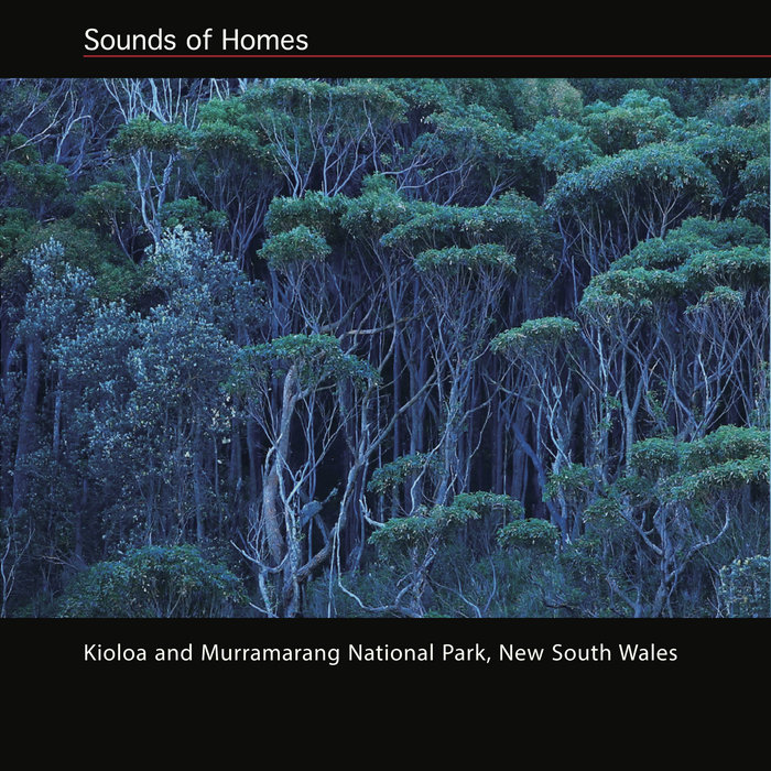 Sounds of Homes | Sounds of Homes (Shane Fahey & Tegan Northwood ...