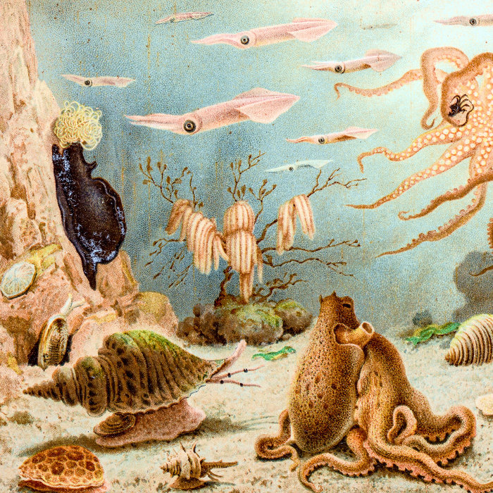 Episodes in Oceanography | Chypho