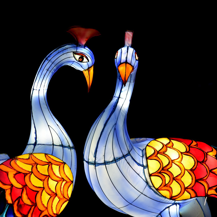 Side effects of dance | pathtology