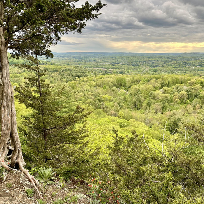 Courage | Austin Barney
