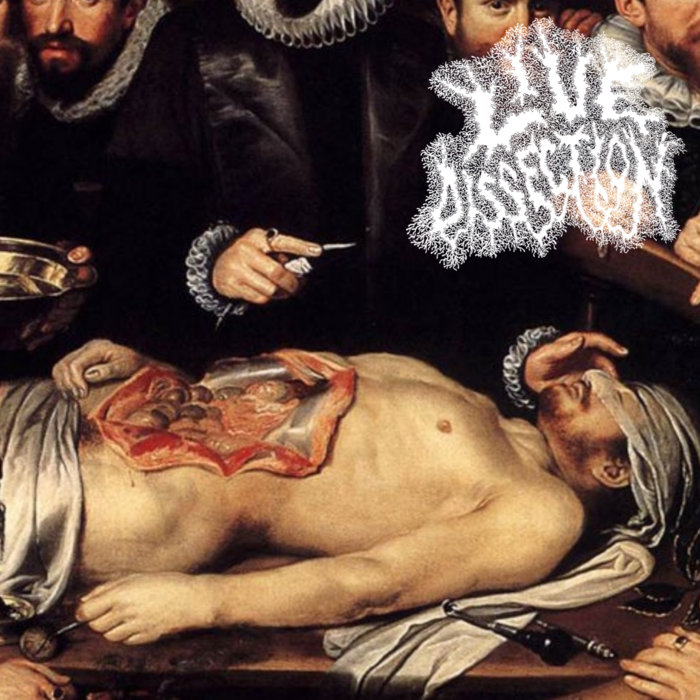 DEMO | Live Dissection