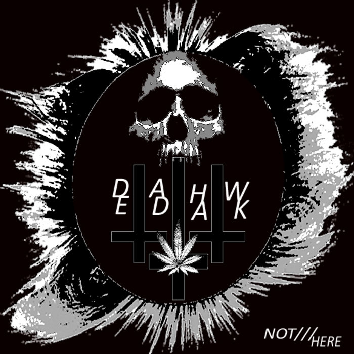 Not Here | Dead Hawk