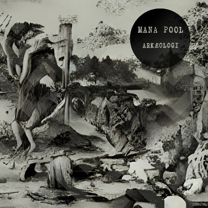 Mana Pool - Arkæologi | Mana Pool | Oval Harmonique