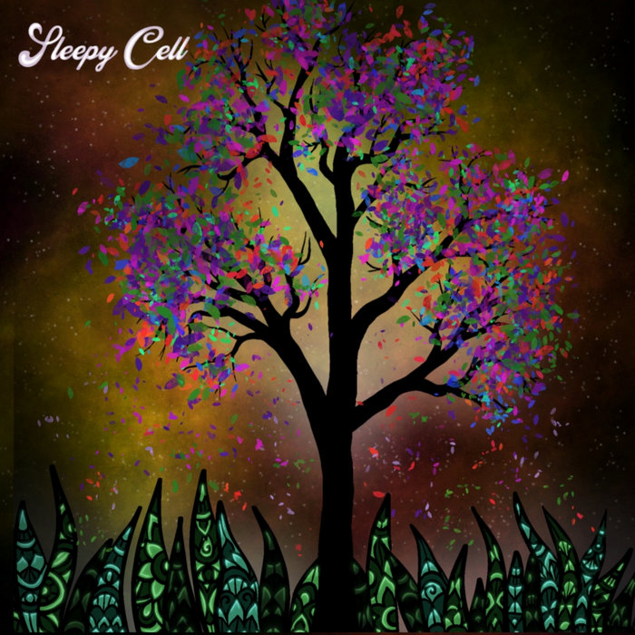 Us | Sleepy Cell
