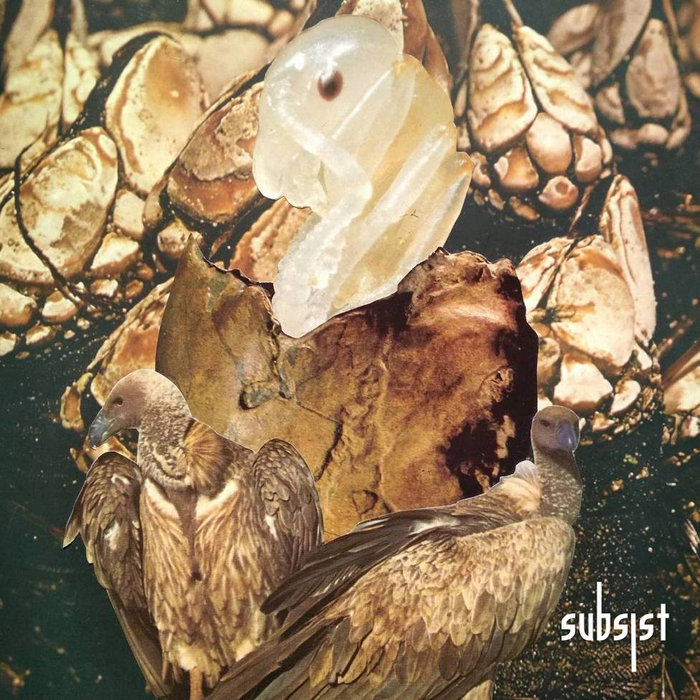 SUBSIST.186D - Memories From Another Life | Forbidden | Subsist & Faith ...