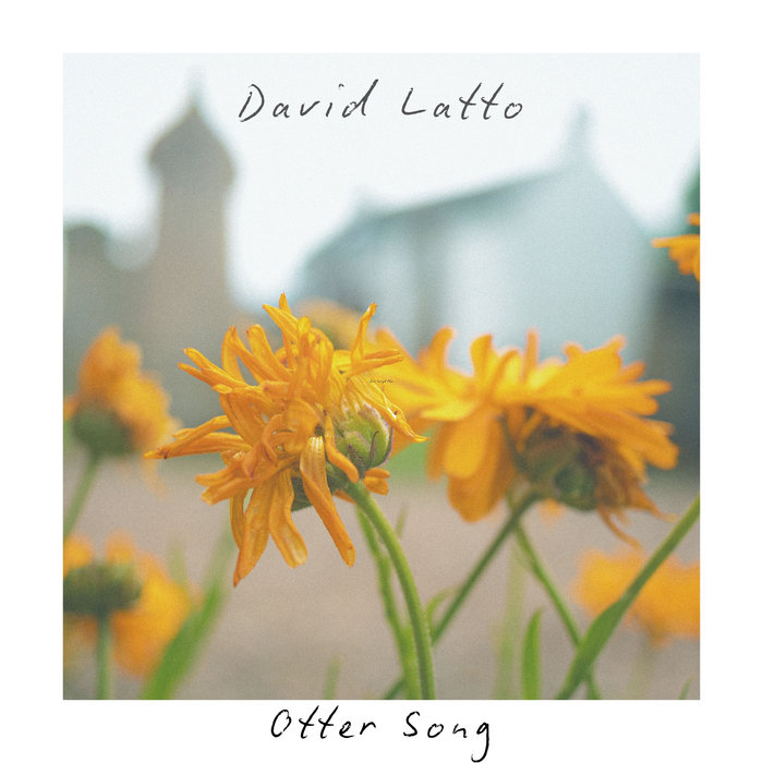 Otter Song | David Latto