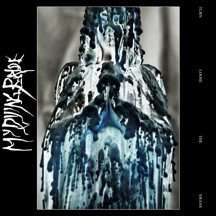 Turn Loose the Swans (20th Anniversary Edition) | My Dying Bride ...