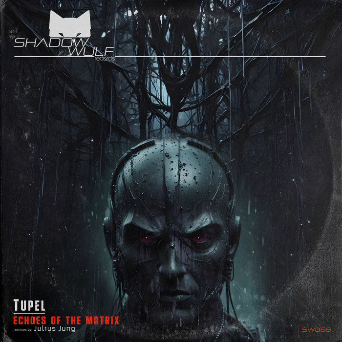 Echoes of the Matrix | Tupel | Shadow Wulf