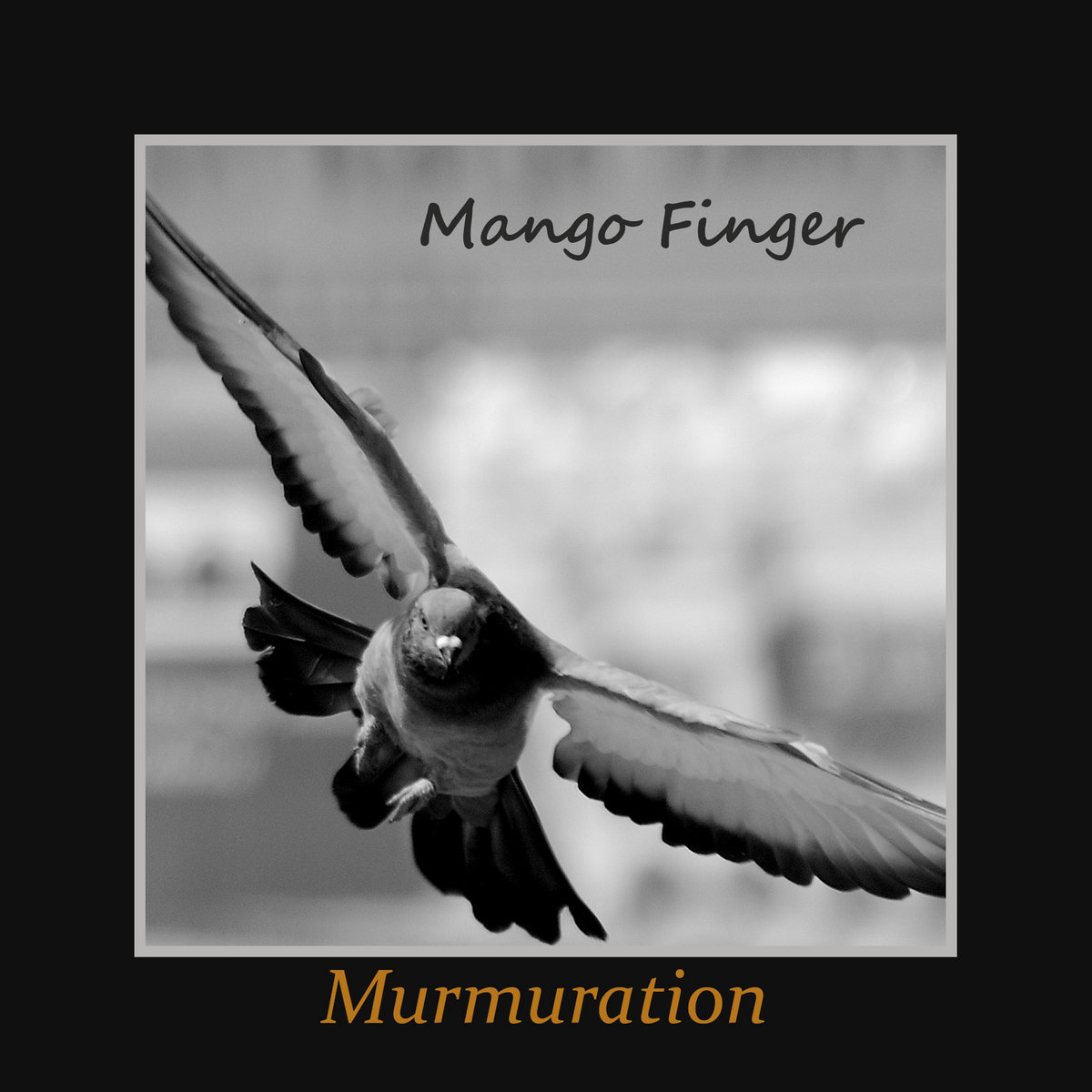 Murmuration | Mango Finger | Resonating Wood Recordings