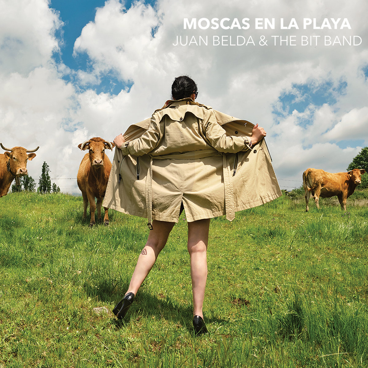 "Moscas en la Playa" | Juan Belda & The Bit Band | Juan Belda