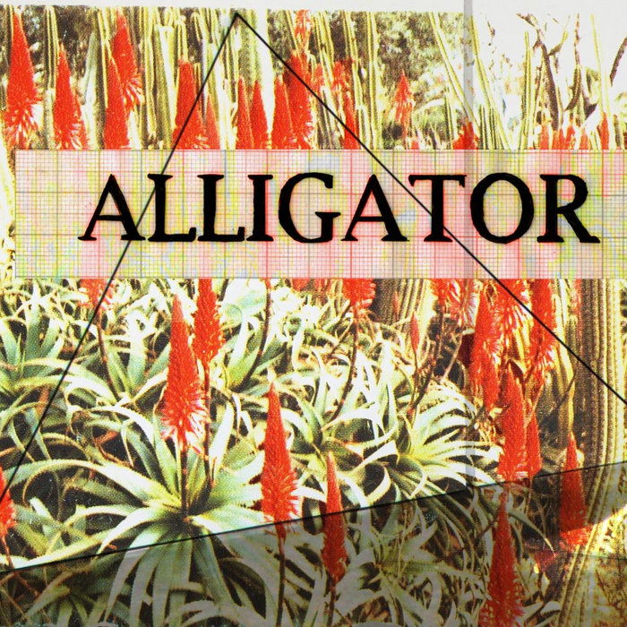 ALLIGATOR | Lisa Duroux ♦ Elizabeth Hargrett | ALLIGATOR