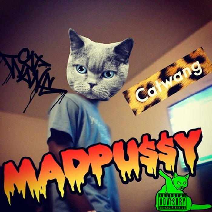 Catwang Background