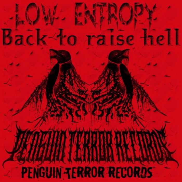Back to Raise Hell | Low Entropy