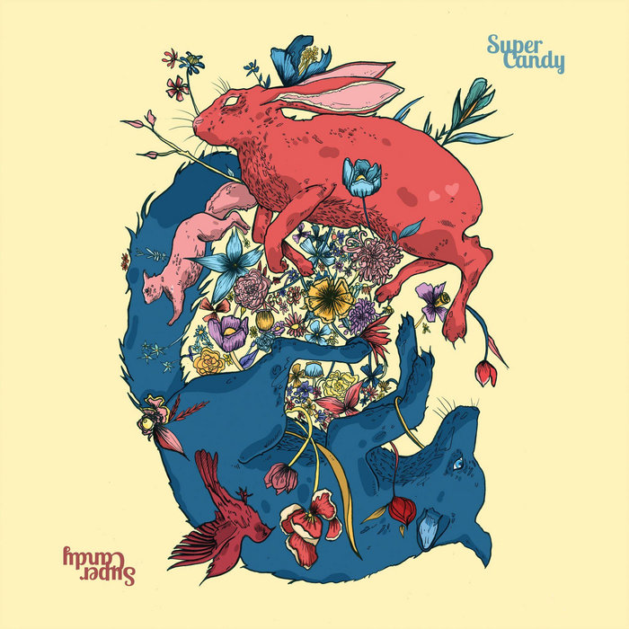 SUPER CANDY | SUPER CANDY